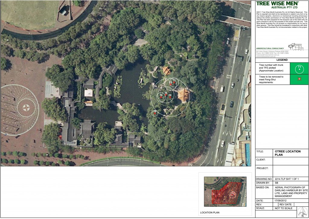 Consulting Arborist Services