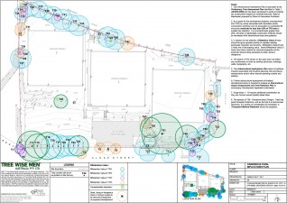 Consulting Arborist Services