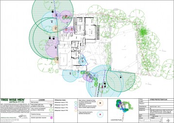 Consulting Arborist Services